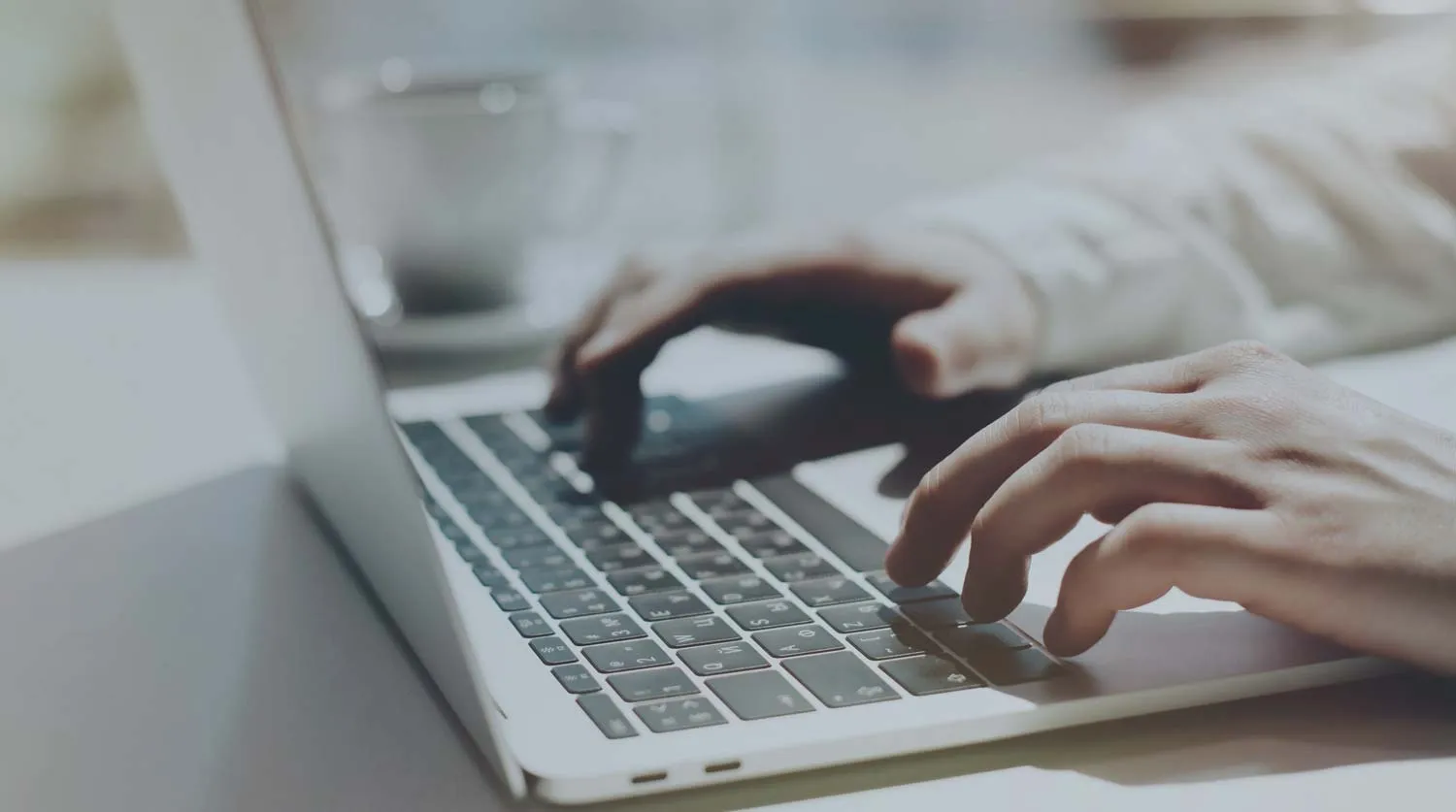 Job Search Guide and Tips for Job Seekers in 2024