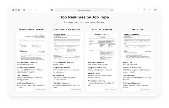 Resume Examples & Professional Resume Samples for 2022